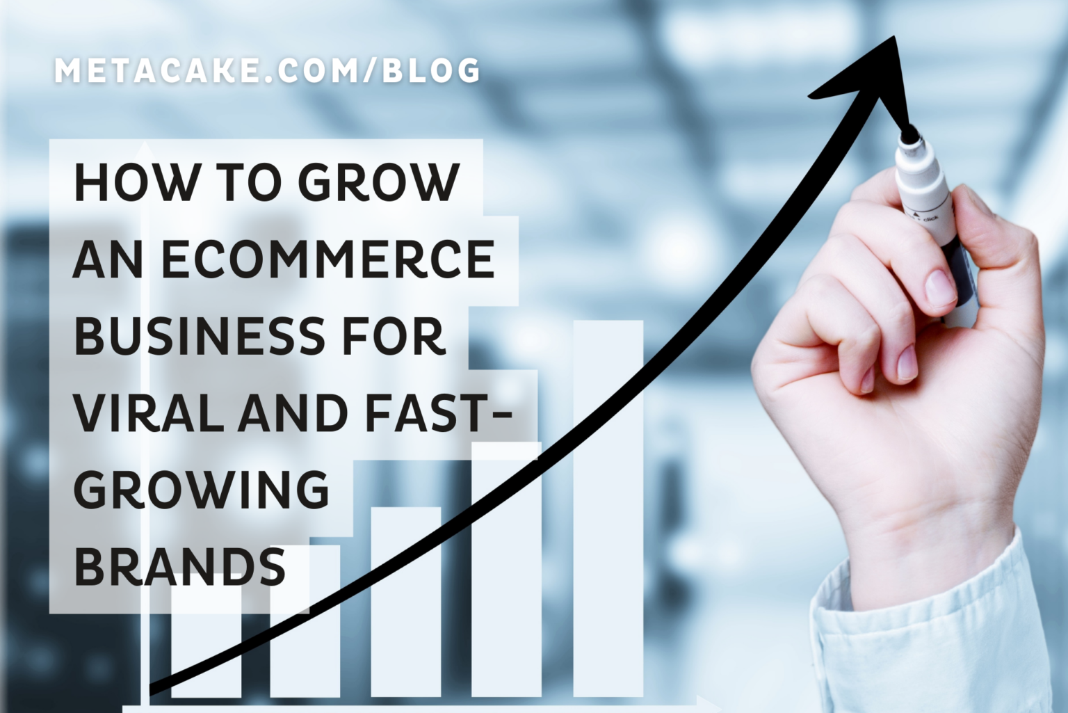 How to Grow an Ecommerce Business for Viral and Fast-Growing Brands ...
